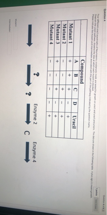 Solved Question 2 Four different uracil autotrophs of | Chegg.com