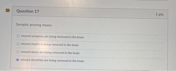 Solved Question 17 1 pts Synaptic pruning means unused | Chegg.com
