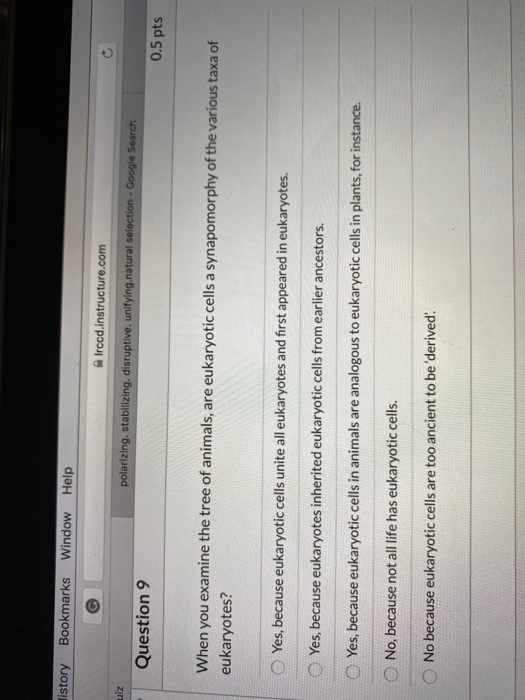 Solved istory Bookmarks Window Help Irccd.instructure.com | Chegg.com