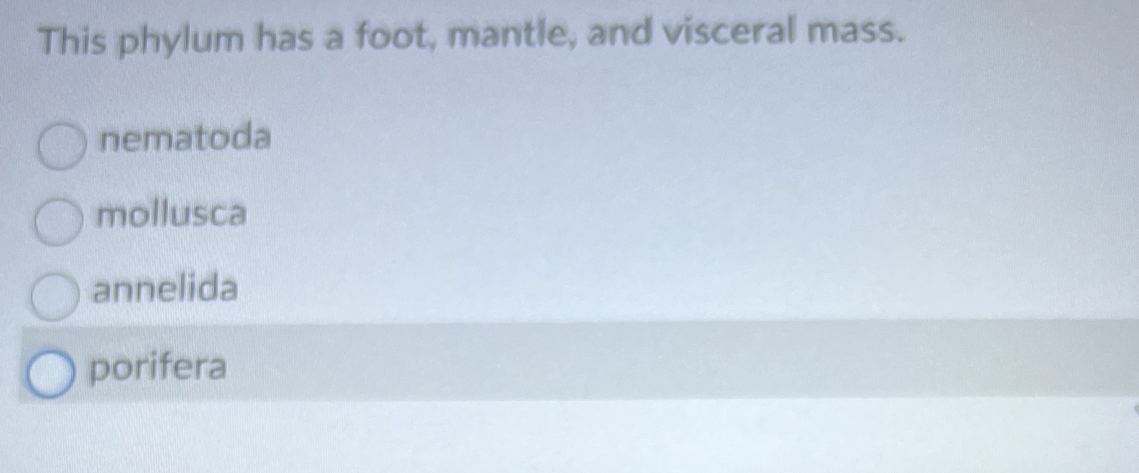 Solved This phylum has a foot, mantle, and visceral | Chegg.com