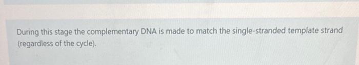 During this stage the complementary DNA is made to | Chegg.com