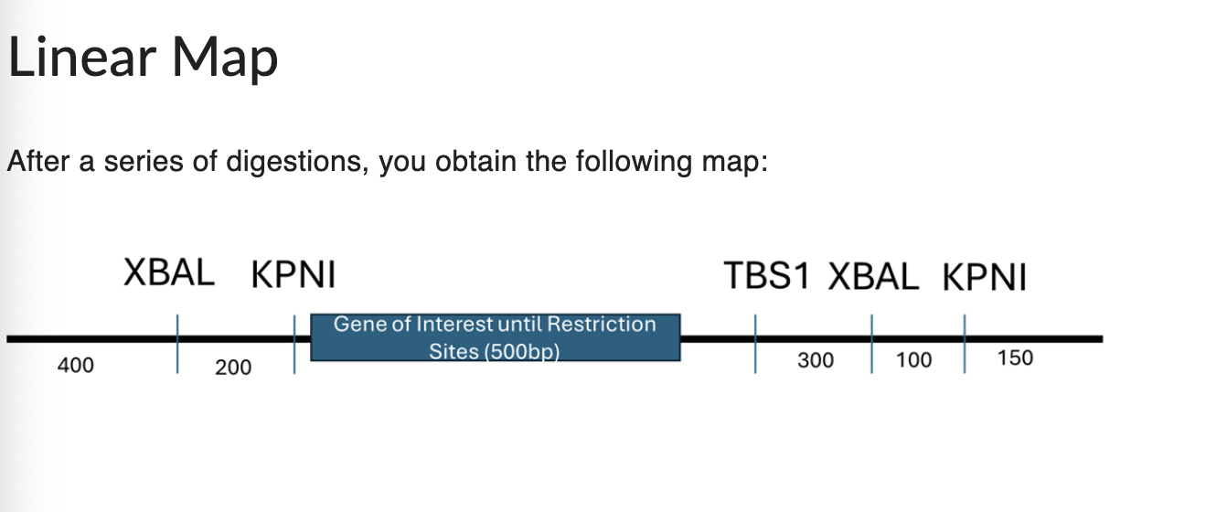 Solved Based solely on the linear map, which restriction | Chegg.com