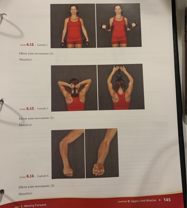Solved FIGURE 8.12 Example 2 Elbow joint movements (2): | Chegg.com