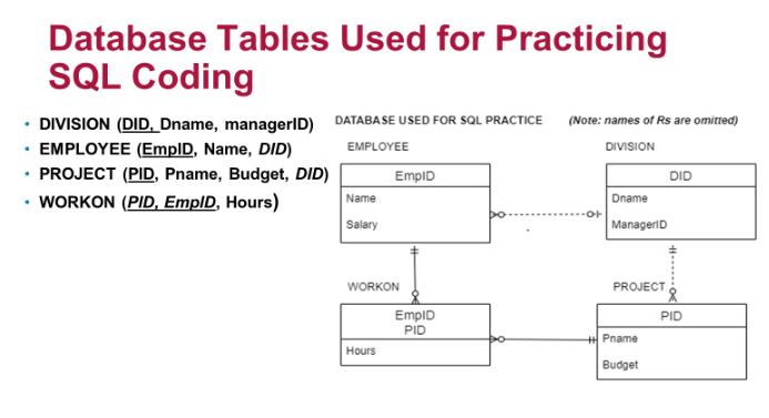 Solved Hello! I need help creating an SQL ﻿coding for the | Chegg.com