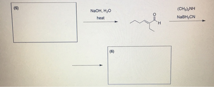 Solved NaOH, H2O heat si NaBtsCn. (CH3)2NH NaBH3CN | Chegg.com