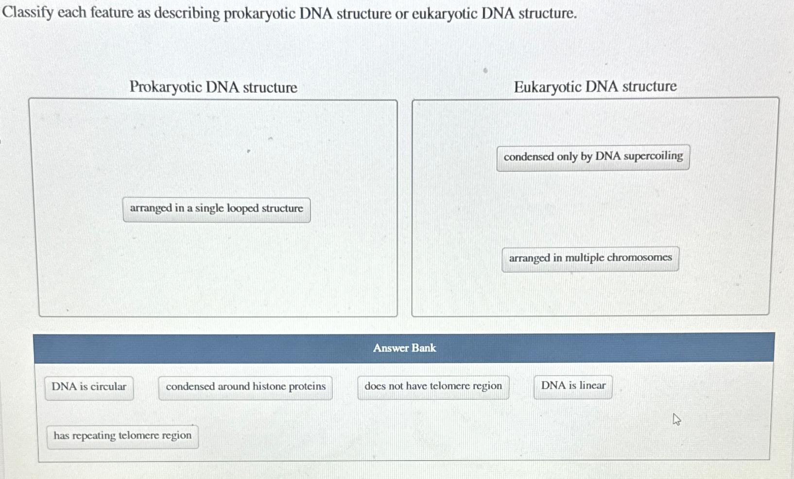 Solved Classify each feature as describing prokaryotic DNA | Chegg.com