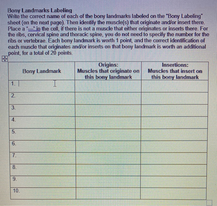 Solved Bony Landmarks Labeling Write the correct name of | Chegg.com