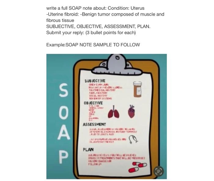 Solved write a full SOAP note about: Condition: Uterus | Chegg.com
