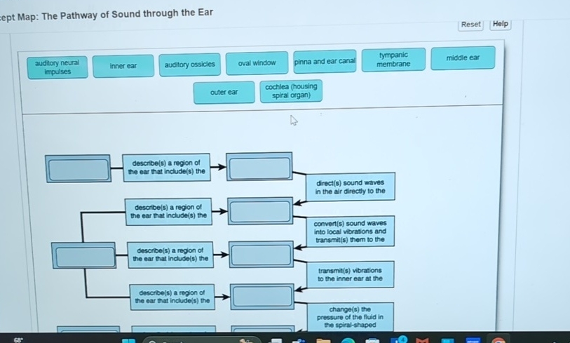 Solved ept Map: The Pathway of Sound through the | Chegg.com