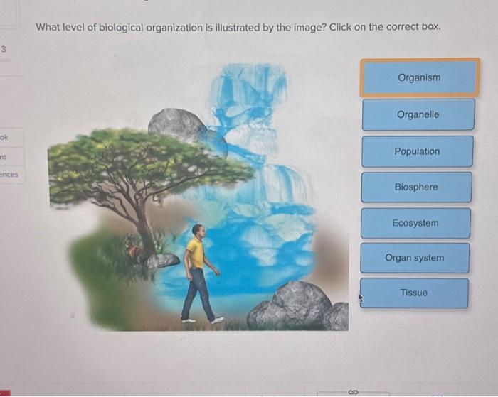 Solved What level of biological organization is illustrated | Chegg.com