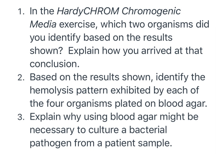 Solved Helga DX Description E.coli Tose to magenta colonies | Chegg.com