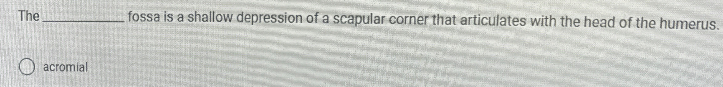 Solved The ﻿fossa is a shallow depression of a scapular | Chegg.com