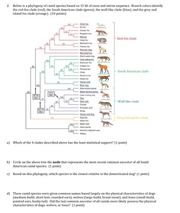 Solved 2. Below is a phylogeny of canid species based on 15 | Chegg.com