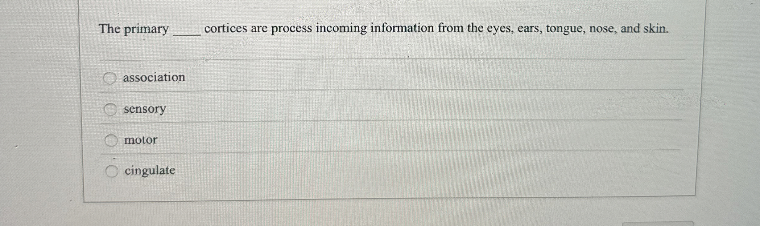 Solved The primary cortices are process incoming information | Chegg.com