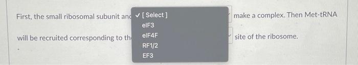 Solved First, the small ribosomal subunit and make a | Chegg.com