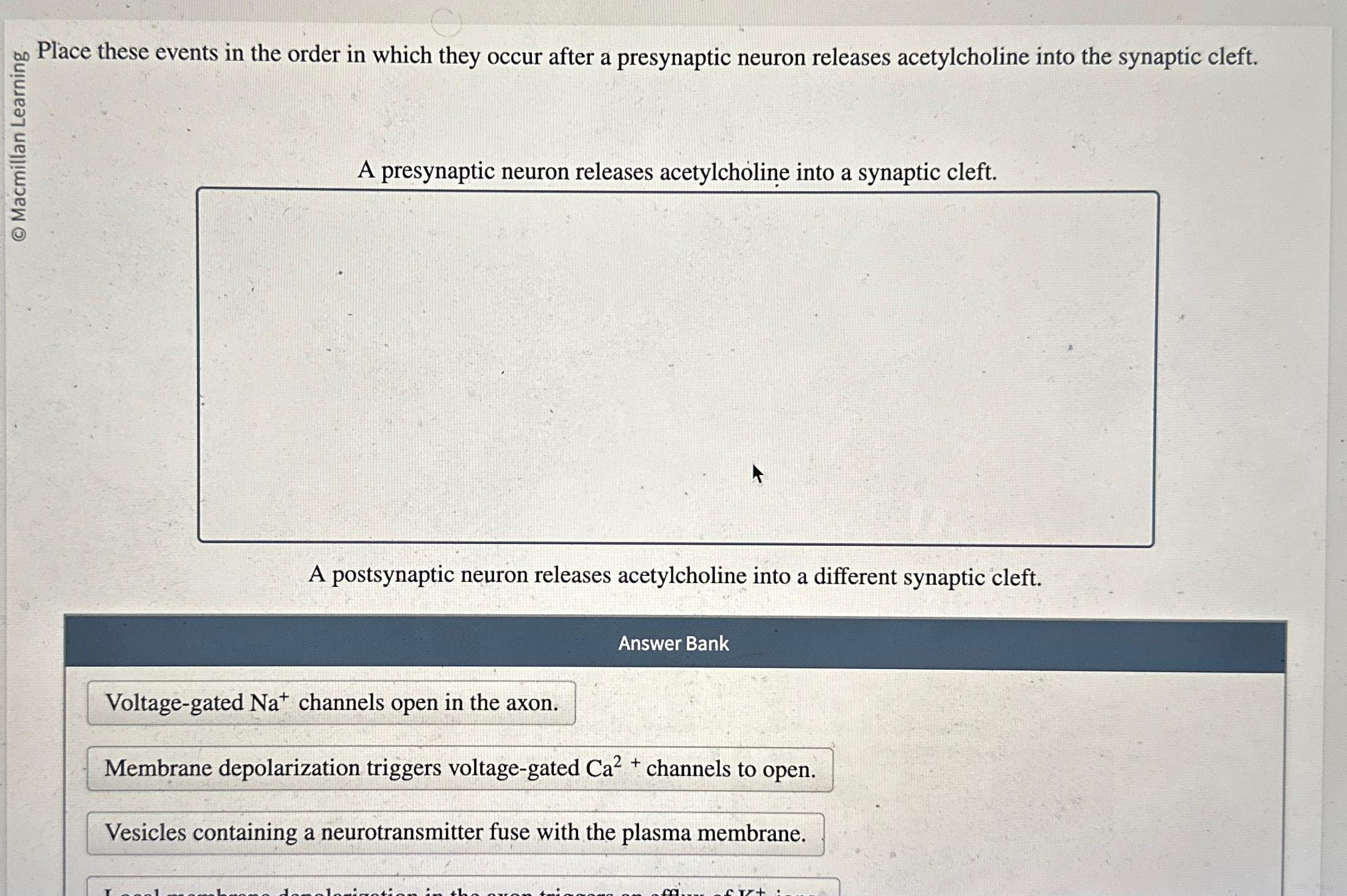 Solved Place these events in the order in which they occur | Chegg.com