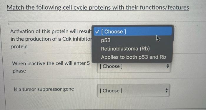Solved Match the following cell cycle proteins with their | Chegg.com