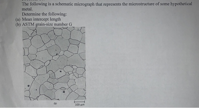 Solved The following is a schematic micrograph that | Chegg.com