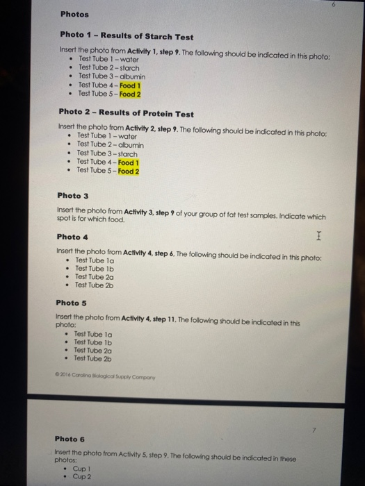 Solved Data Activity 1: Starch Test List the foods you | Chegg.com