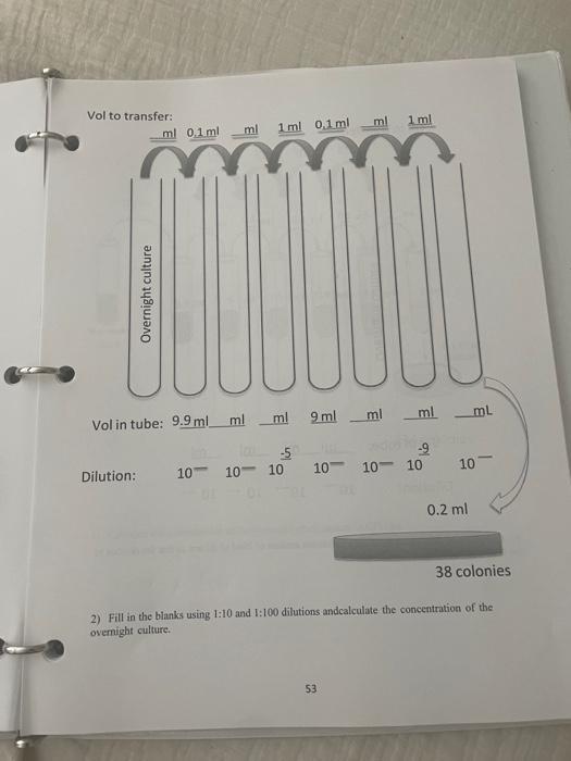 Solved 2) Fill in the blanks using 1:10 and 1:100 dilutions | Chegg.com