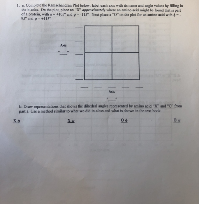 Solved 1. a. Complete the Ramachandran Plot below: label | Chegg.com