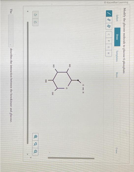 Solved Modify the glucose molecule to glucose 6-phosphate. | Chegg.com