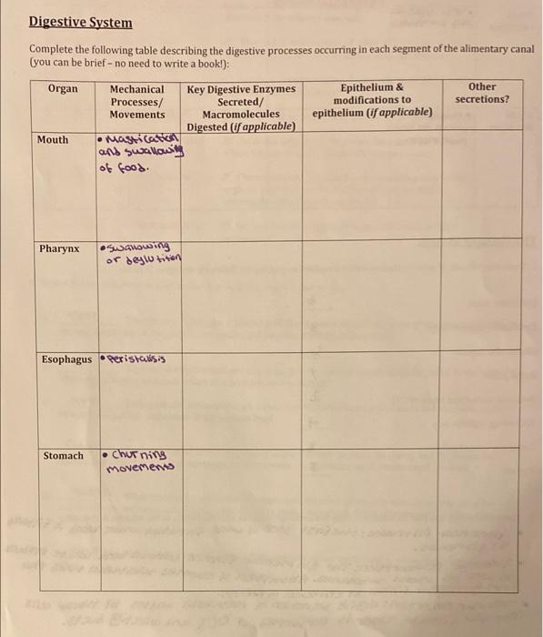 Solved Digestive System Complete the following table | Chegg.com