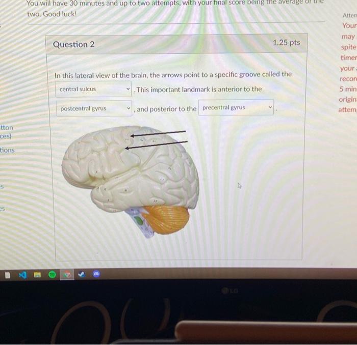 Solved There are four questions please check and see if the | Chegg.com