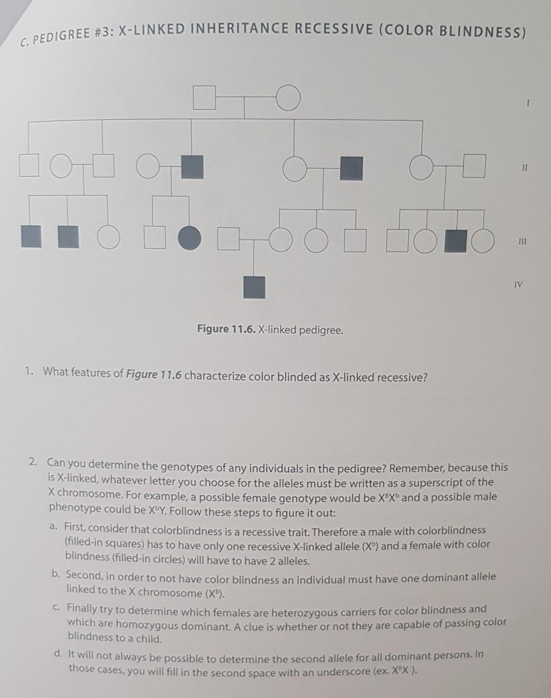 Solved C. PEDIGREE #3: X-LINKED INHERITANCE RECESSIVE (COLOR | Chegg.com