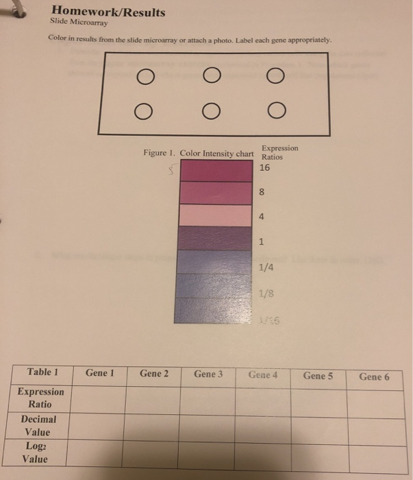 Homework/Results Slide Microarray Color in results | Chegg.com