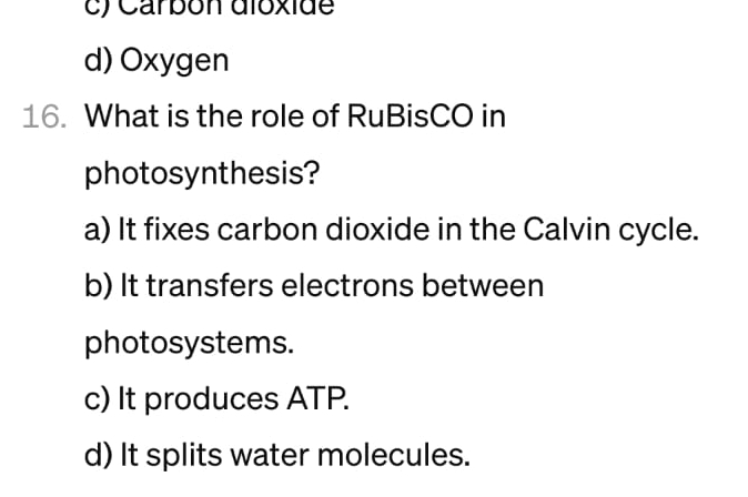 Solved d) ﻿Oxygen16. ﻿What is the role of RuBisCO in | Chegg.com