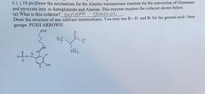 Solved 0.) (10 pts)Draw the mechanism for the Alanine | Chegg.com