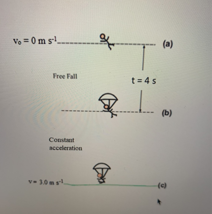 Solved a parachutist bails out of an aeroplain and is in a | Chegg.com