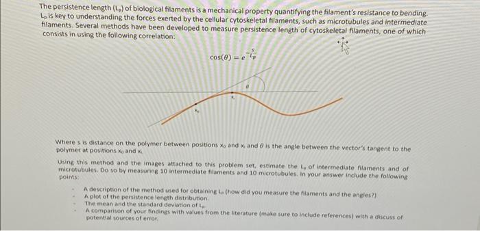 Solved The persistence length (Lϕ) of biological filaments | Chegg.com