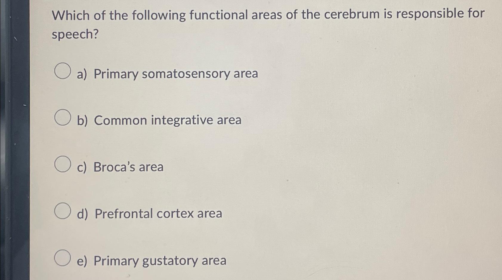 Solved Which of the following functional areas of the | Chegg.com