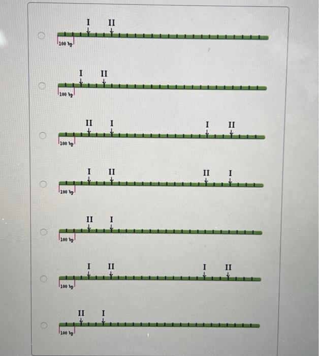 Solved Construct a restriction map from these data, showing | Chegg.com