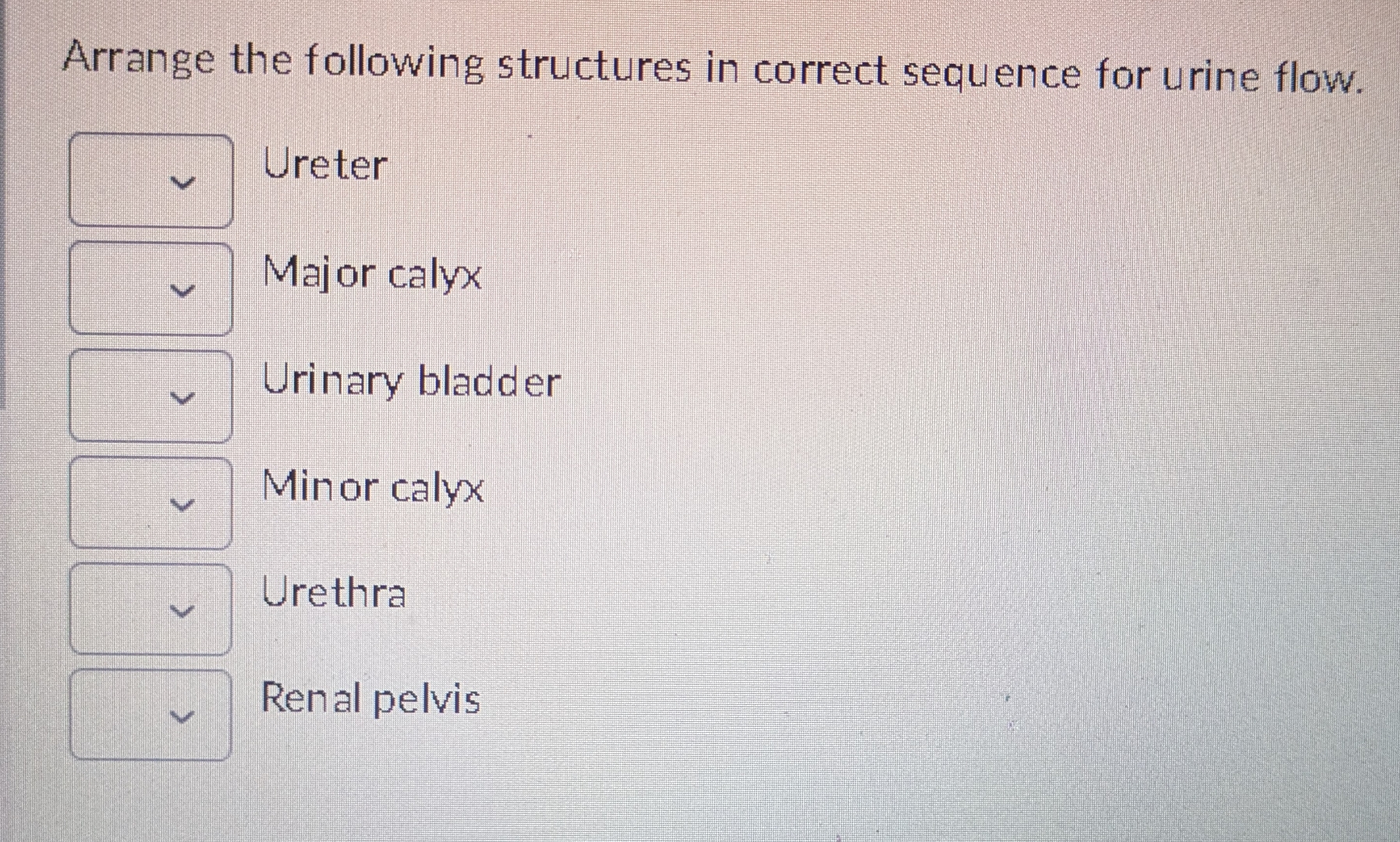Solved Arrange the following structures in correct sequence | Chegg.com
