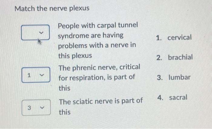 Solved Match the nerve plexus People with carpal tunnel | Chegg.com