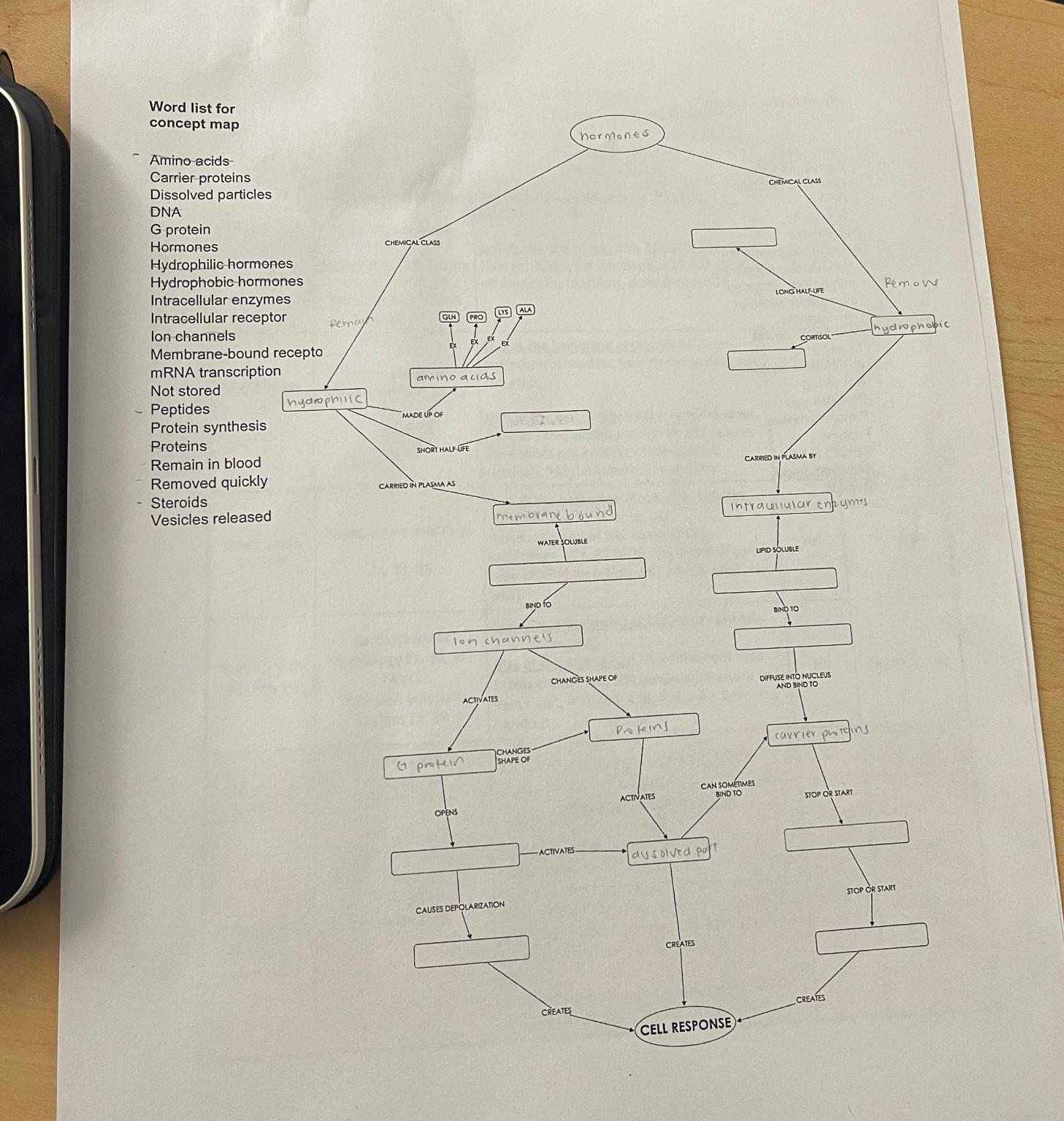 Solved Word list for concept mapAmino acidsCarrier proteins | Chegg.com