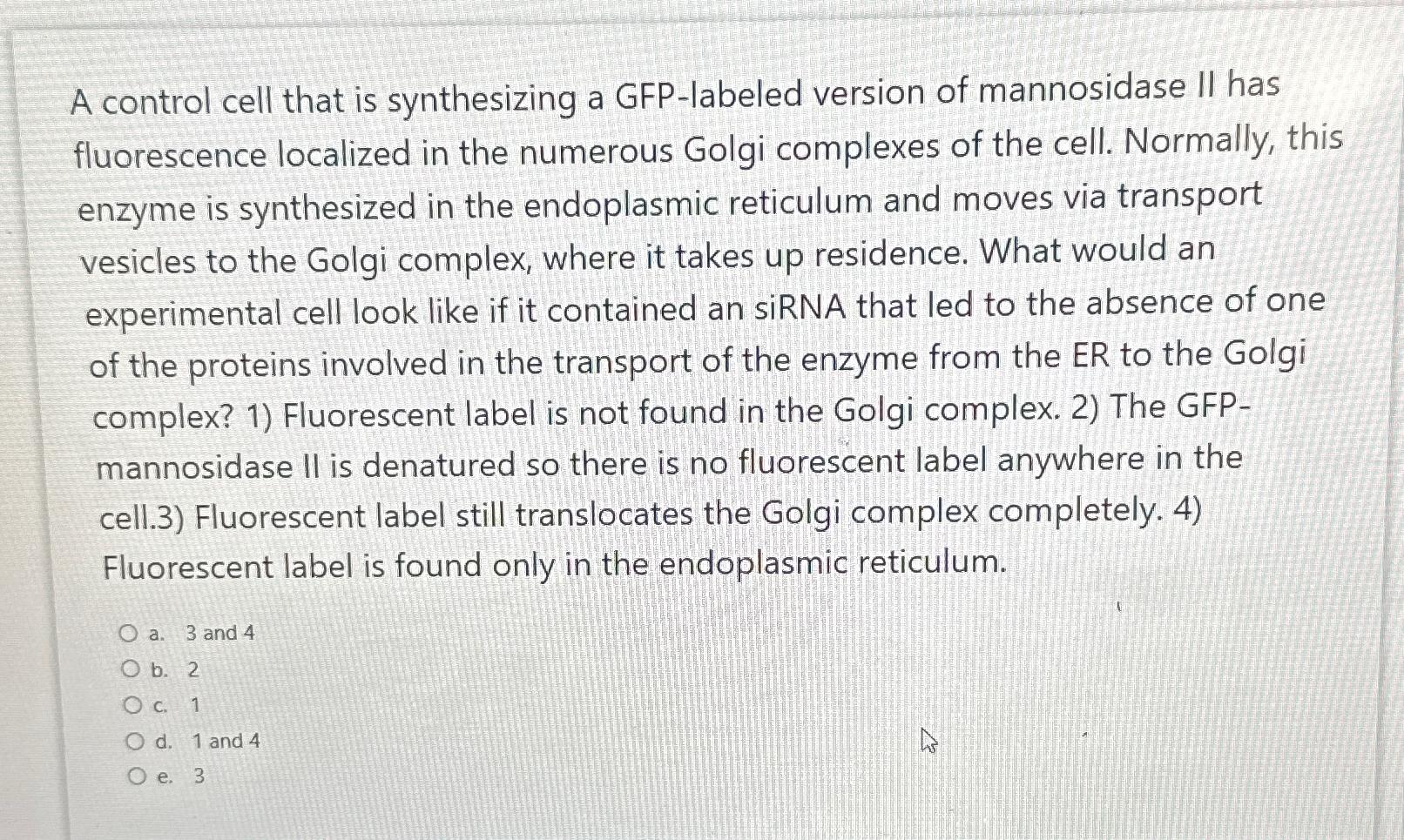 Solved A control cell that is synthesizing a GFP-labeled | Chegg.com