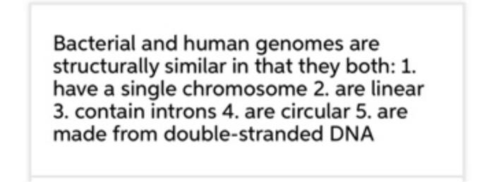 Solved Bacterial and human genomes are structurally similar | Chegg.com