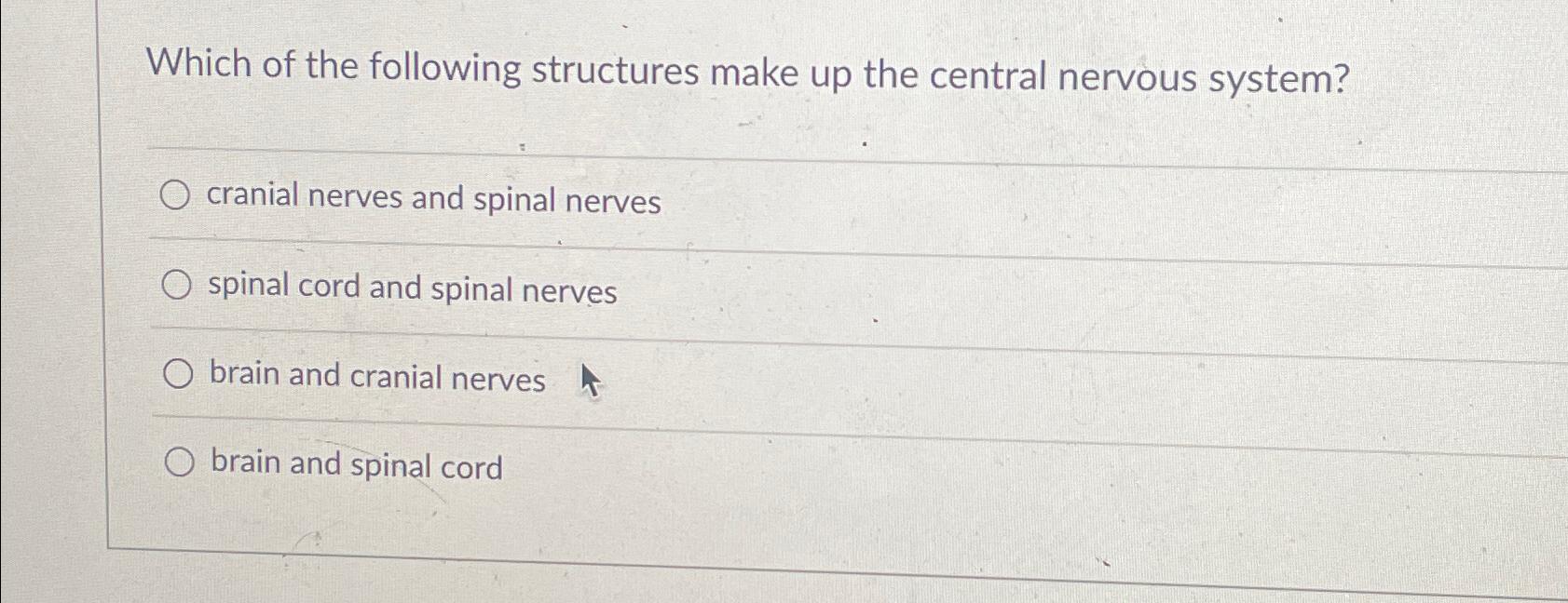 Solved Which of the following structures make up the central | Chegg.com