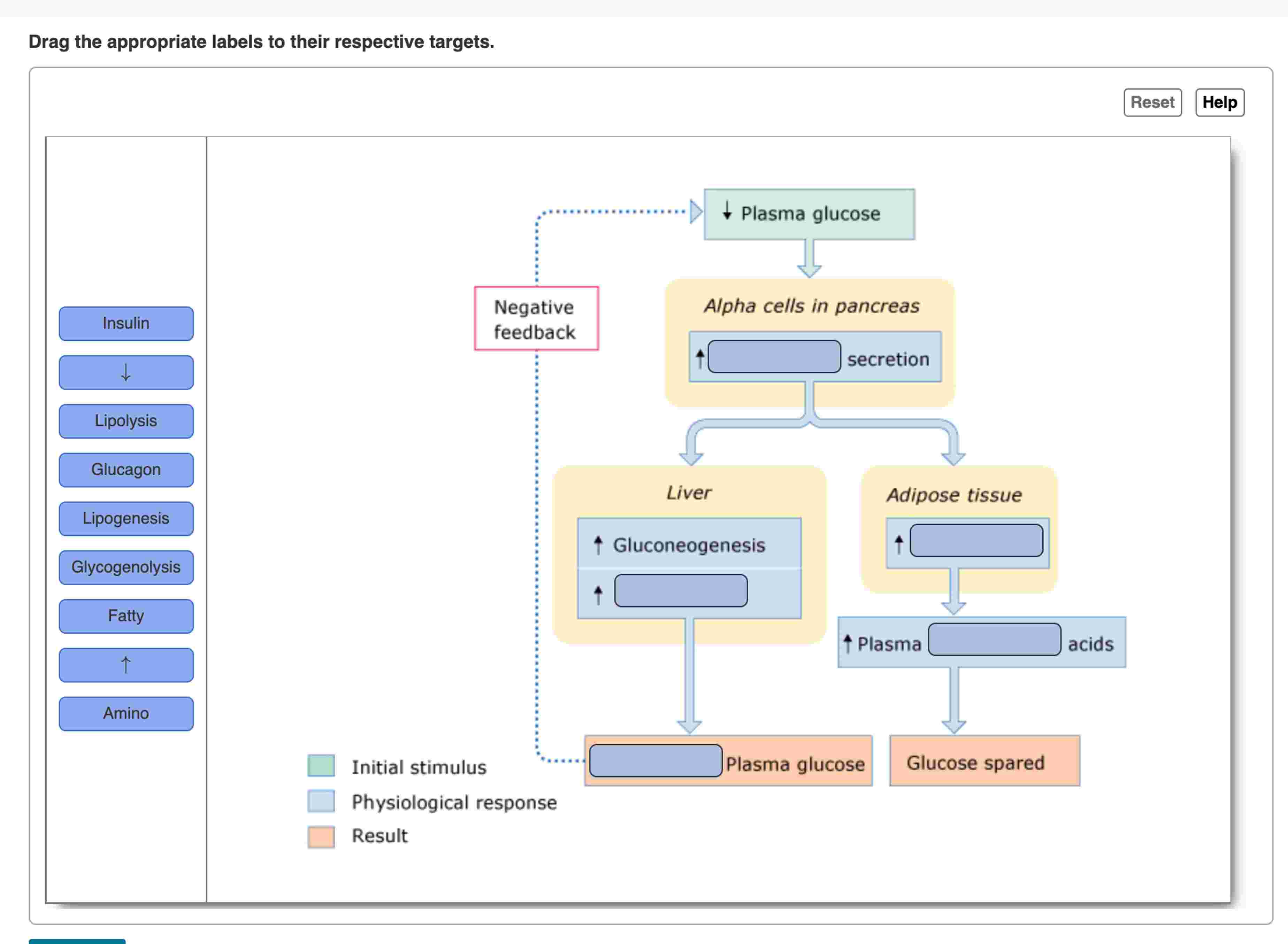 Solved Drag the appropriate labels to their respective | Chegg.com