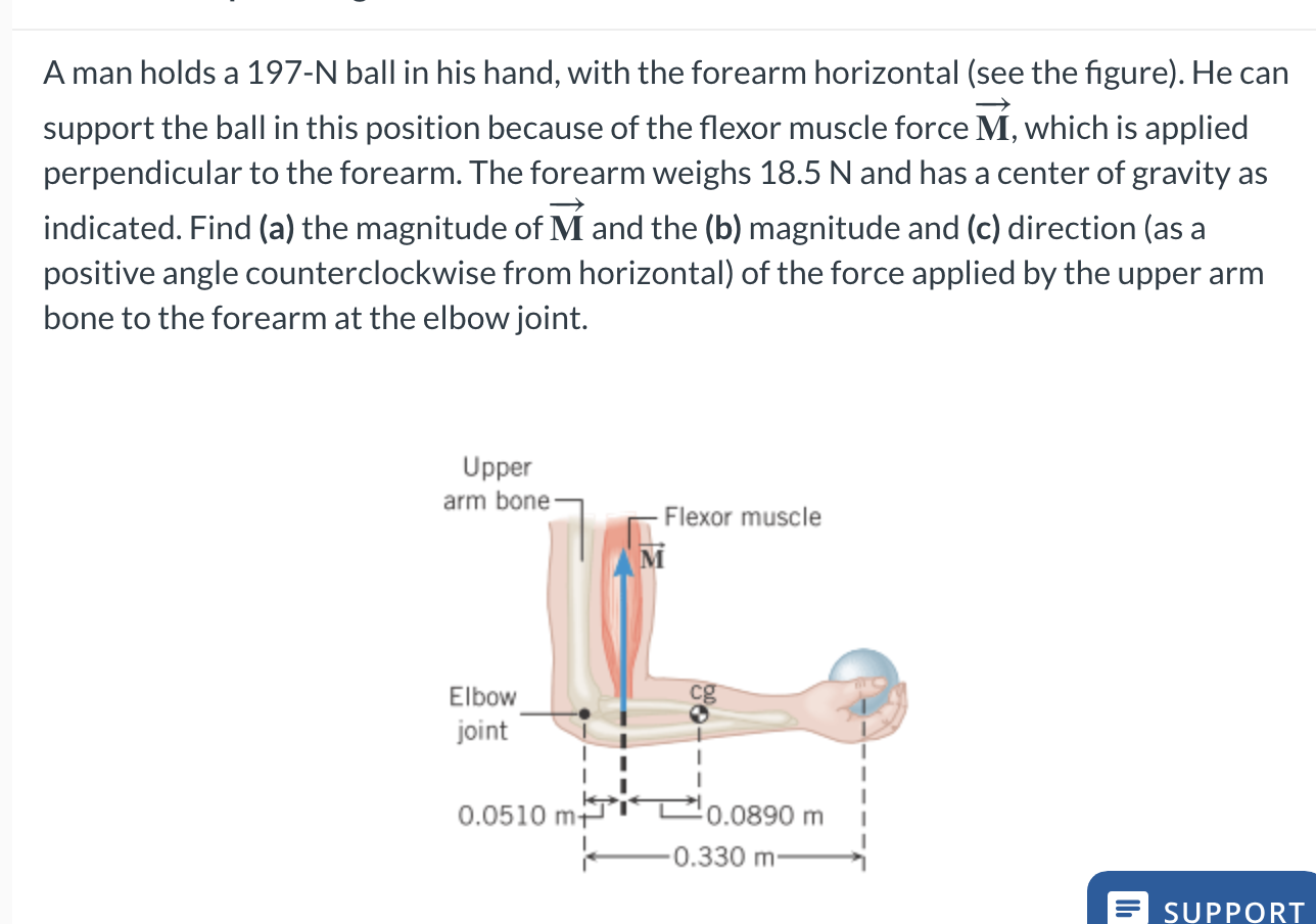 Solved A man holds a 197-N ball in his hand, with the | Chegg.com