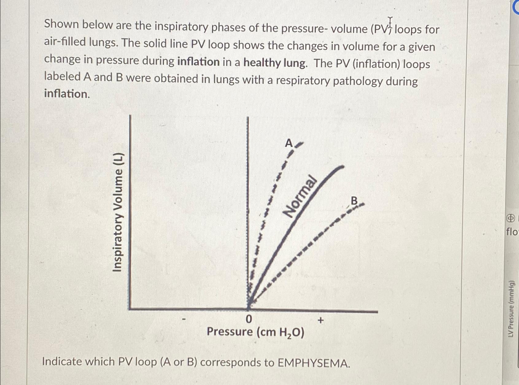 Solved Shown below are the inspiratory phases of the | Chegg.com