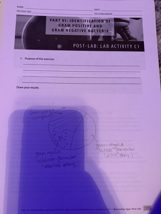 PART VI: IDENTIFICATION OF GRAM POSITIVE AND GRAM | Chegg.com