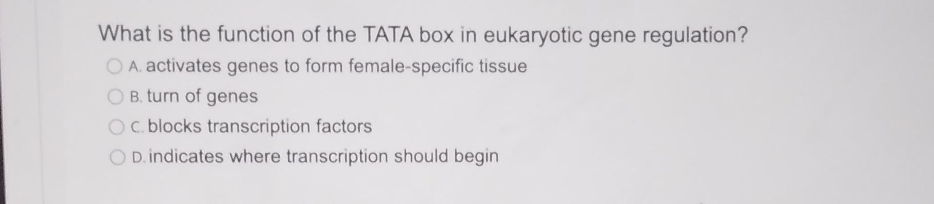 Solved What is the function of the TATA box in eukaryotic | Chegg.com