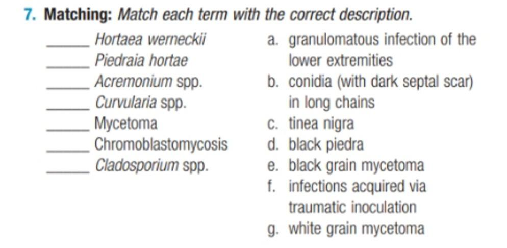 Solved 7. Matching: Match each term with the correct | Chegg.com