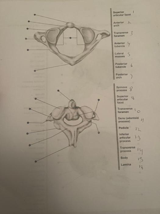Solved please label | Chegg.com