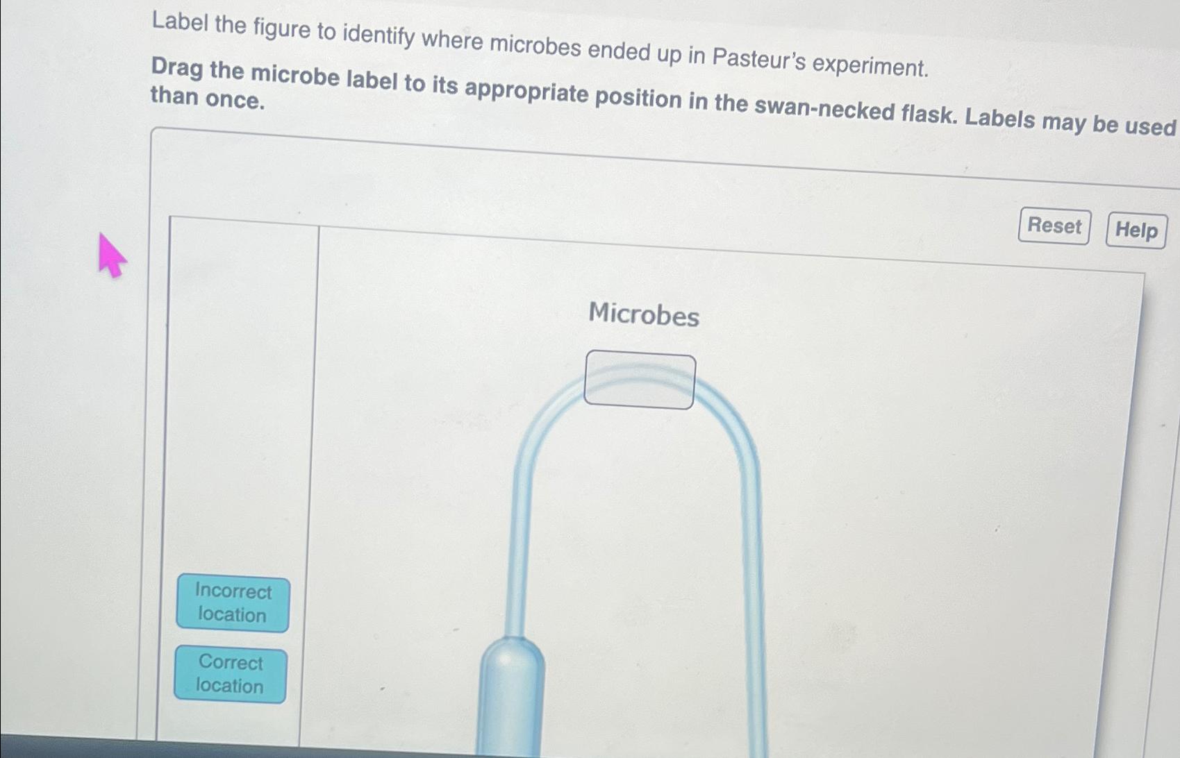 Solved Label the figure to identify where microbes ended up | Chegg.com